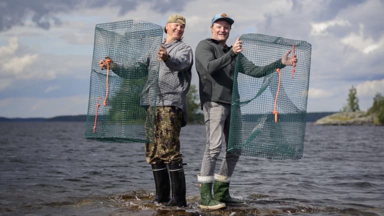 Haluatko ilmaisen norppaturvallisen katiskan? Suomen ...