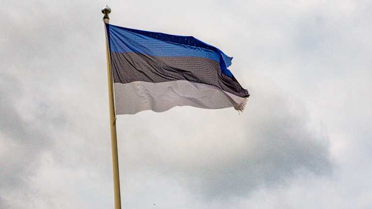 Viro avasi konsulaatin Kotkassa – Stevecon hallituksen puheenjohtajasta ...