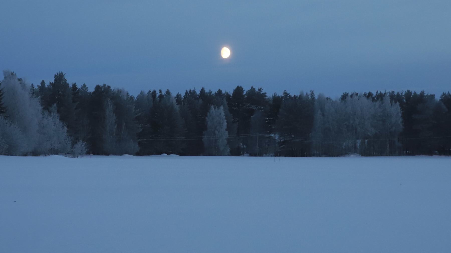 Jenni Vuolo, 28, päätti palata kotikonnuilleen: ”Joskus mietin olenko ...