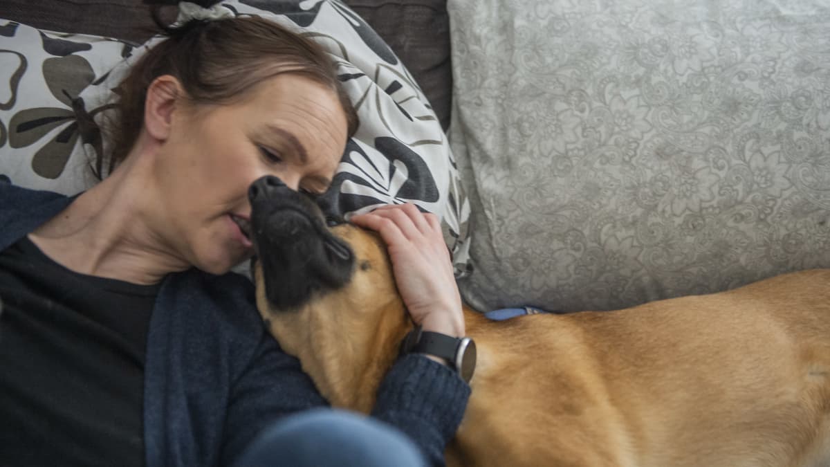 Sodan keskeltä pelastetusta koirasta ei välttämättä ole enää lasten leikkikaveriksi – näin ...