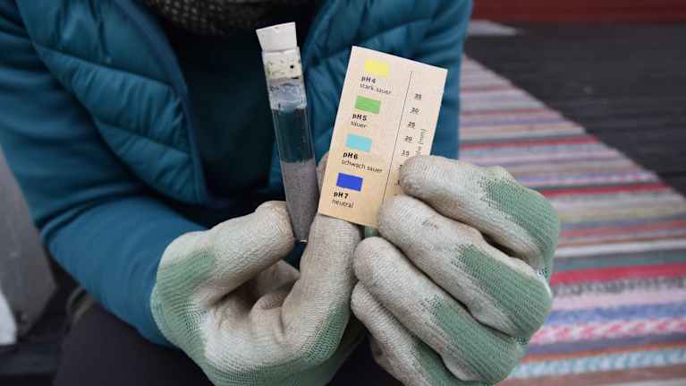 Tasainen pH-arvo, kalkki ja maanparannus – näitä puutarhasi tarvitsee ...