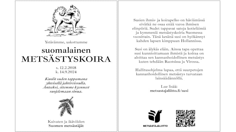 Törmäsitkö somessa koiran kuolinilmoitukseen? Tästä siinä on kyse ...