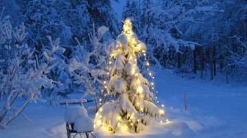 Luminen pelto, purppurataivas ja repolainen jäällä – katso joulukuun ...