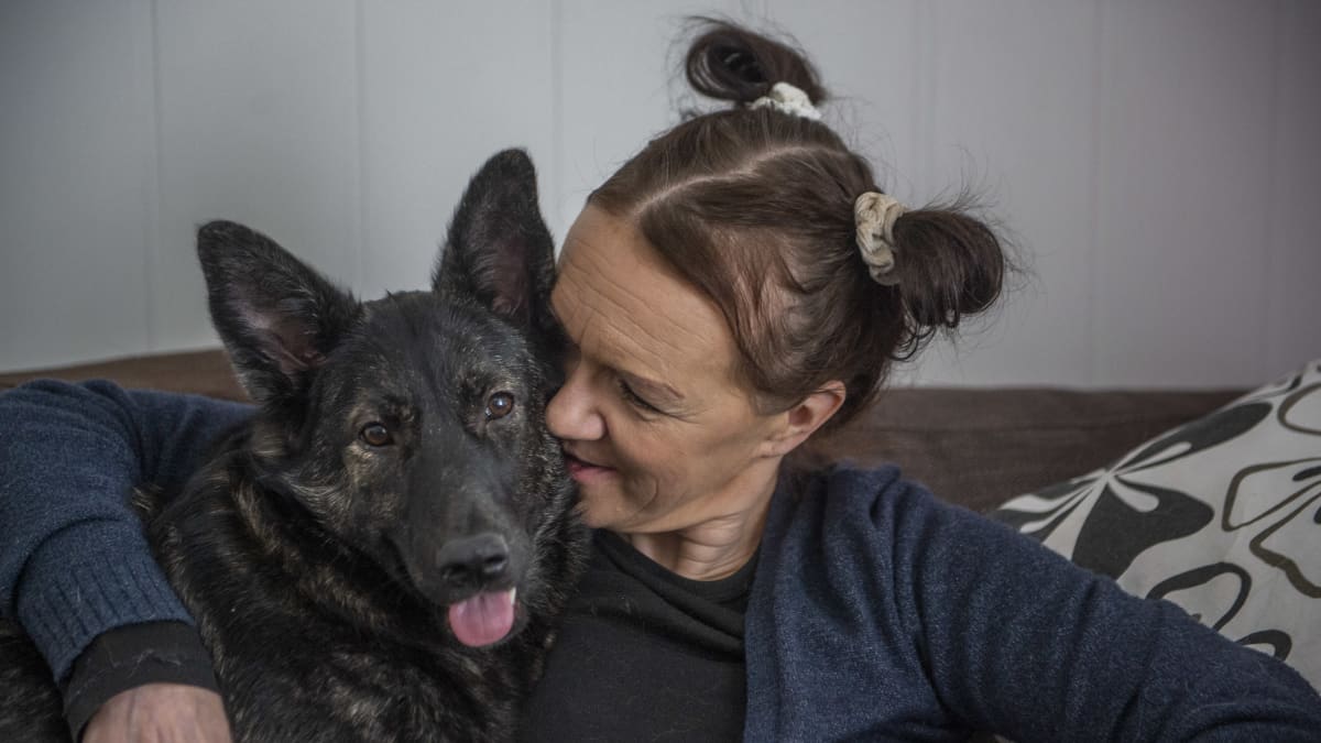 Sodan keskeltä pelastetusta koirasta ei välttämättä ole enää lasten leikkikaveriksi – näin ...