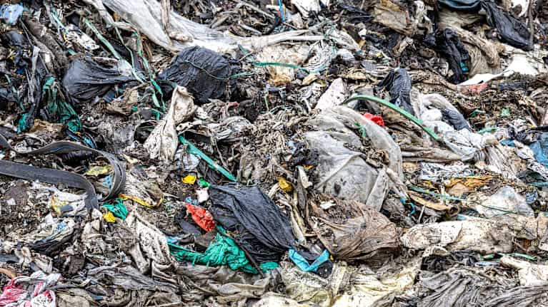 Study: Less biowaste ending up in mixed trash | Yle News | Yle