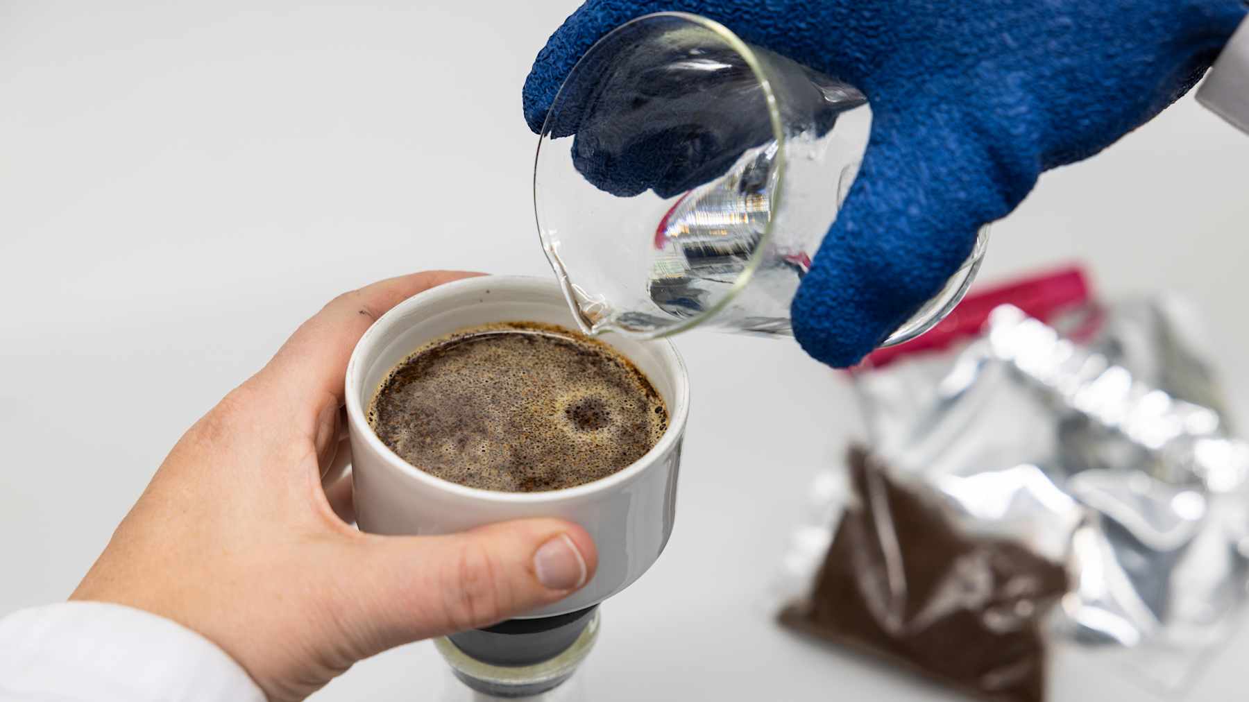 Framtidens kaffe kan odlas i labb | Inrikes | Svenska Yle