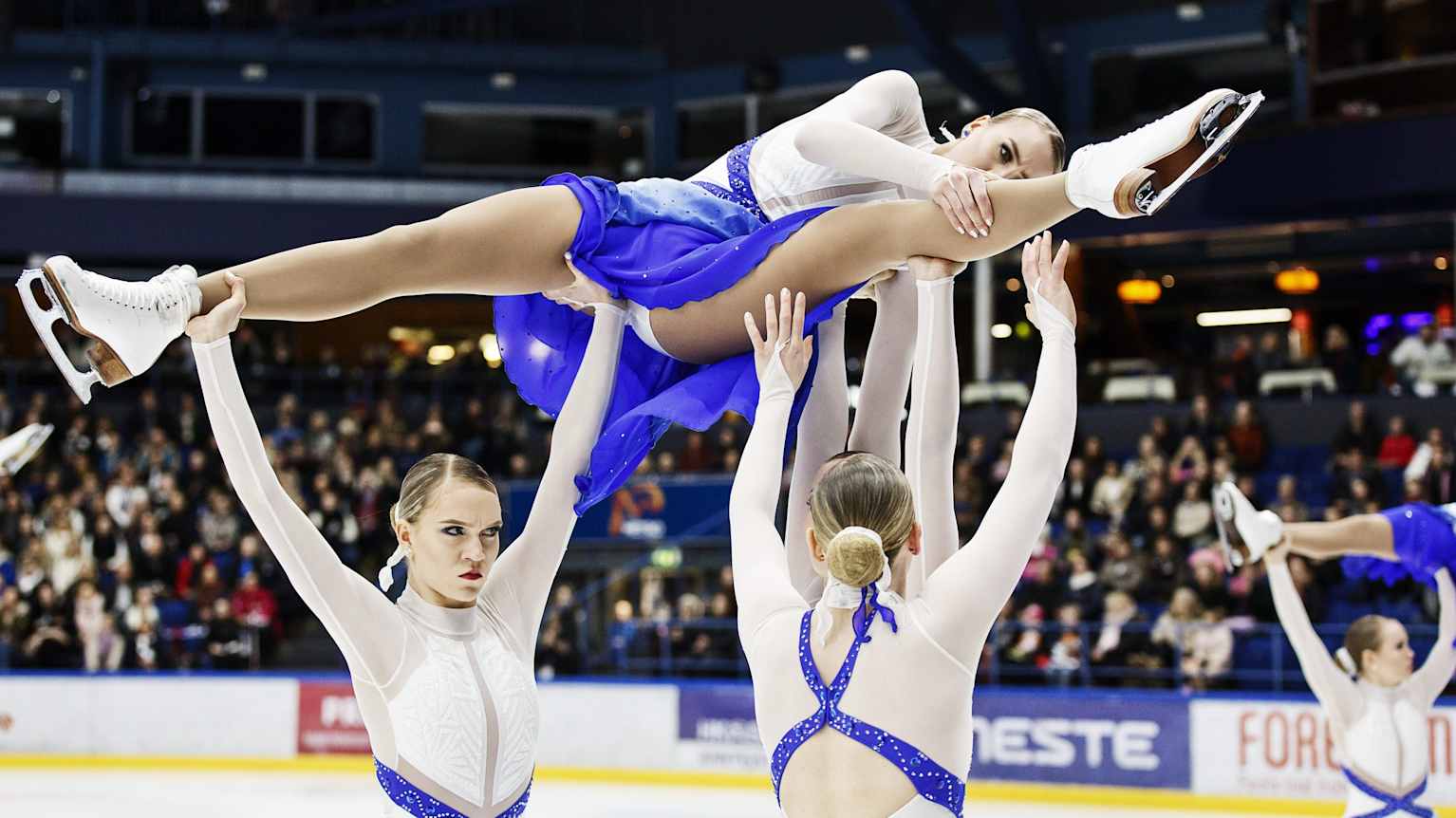 marigold iceunity 2002