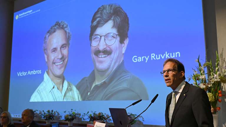 Nobelpriset i fysiologi eller medicin går till Victor Ambros och Gary Ruvkun | Vetenskap ...