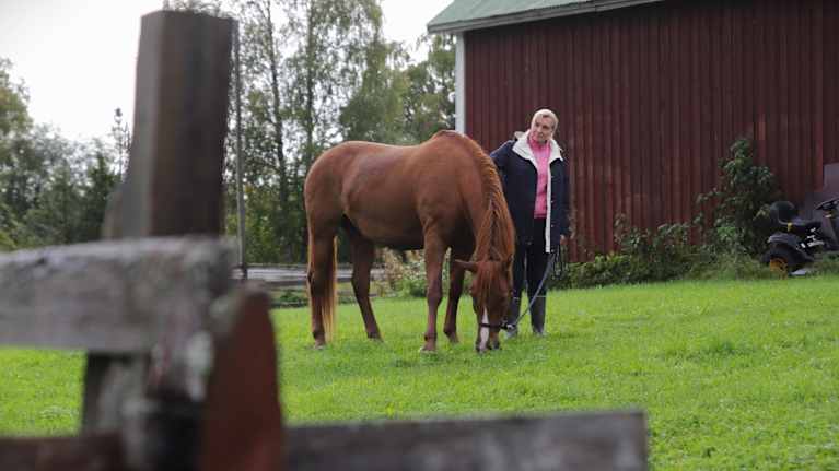 Tämän hevosen esitäti oli sotaveteraani – kymmenettuhannet ...