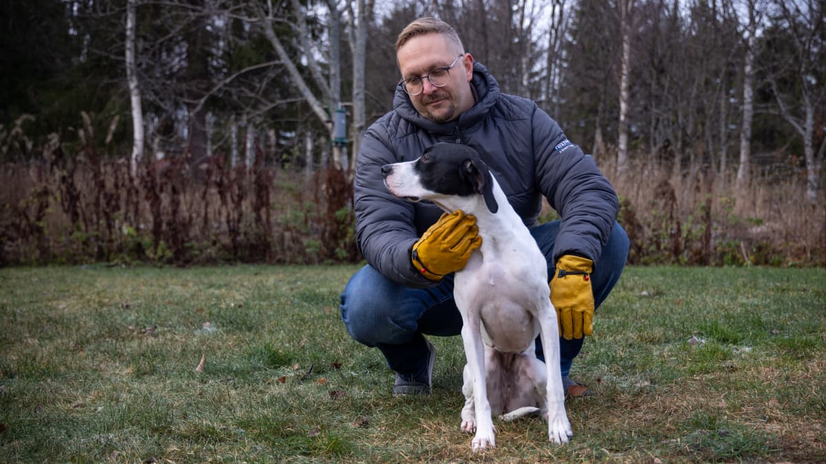Sankarikoira Ginin sinnikkään haukun ansiosta muistisairas mies pääsi ...