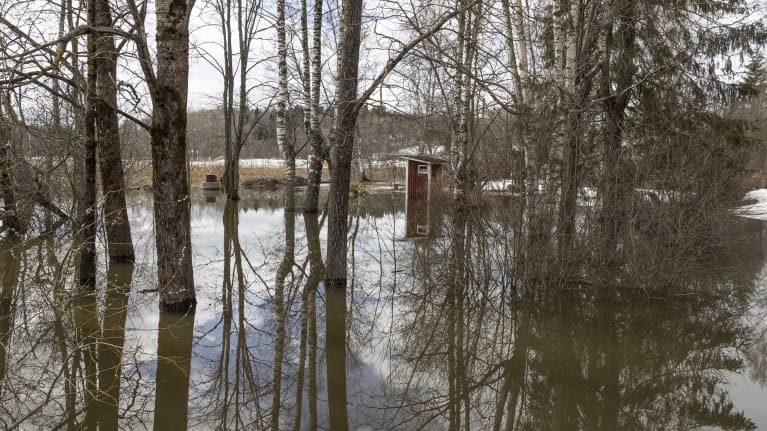 Flood warning for southern Finland as river levels rise | Yle