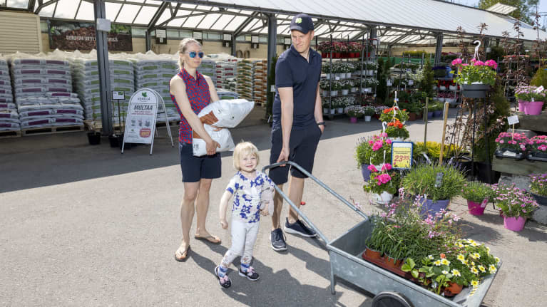 Taimikauppa käy nyt kuumimmillaan: suomalaiset ostavat muutamassa ...