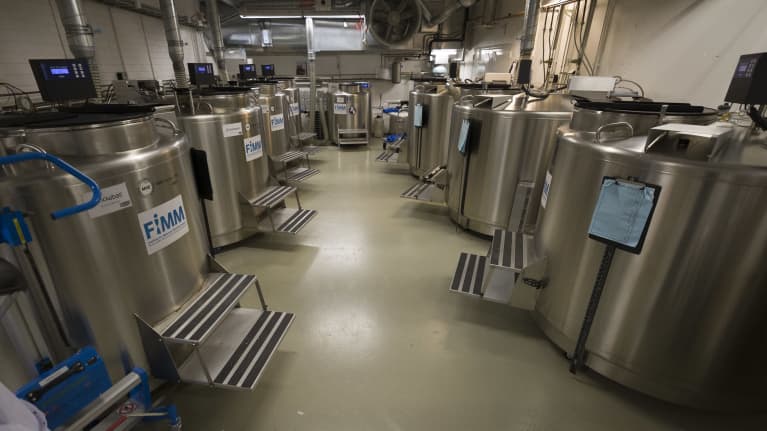 Supo says Finland should be careful sharing genetic data abroad | Yle ...