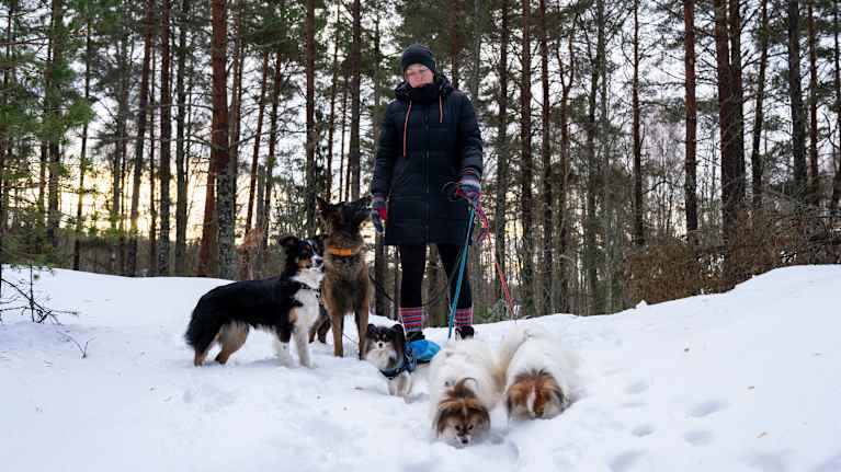 ”Hundägare känner ofta dåligt till var hundar får vara lösa” – när ...