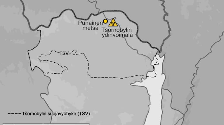 Venäjän hyökkäyssodan yllättävä seuraus: Oulun yliopiston tutkimus ...