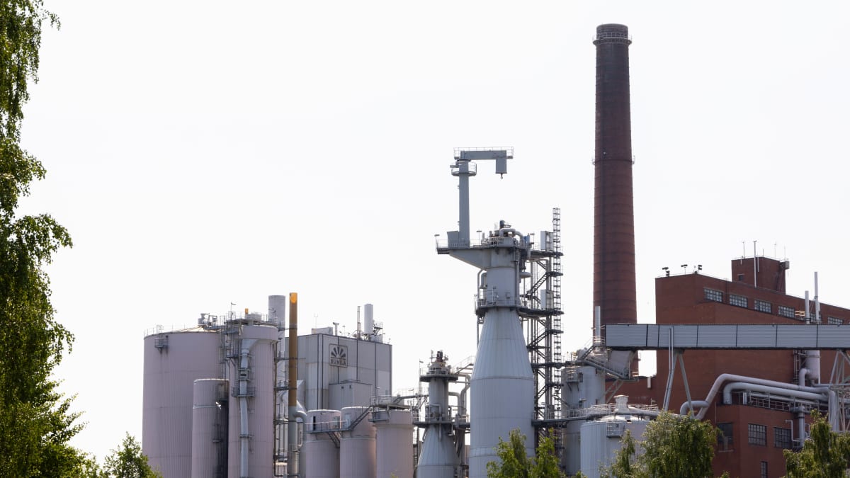 Raakapuun hankkiminen on jo vaikeaa – professorin mukaan rahaa on nyt ...