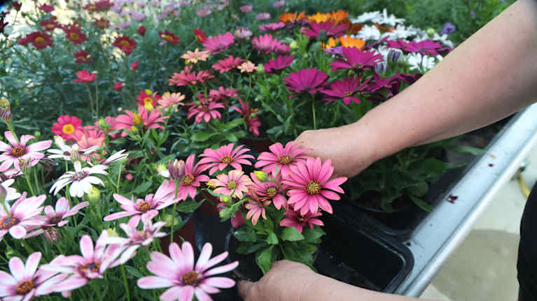 Vaasan kaupungin kesätyöhaku käynnistyy – tarjolla on 450 kesätyöpaikkaa | Pohjanmaa | Yle