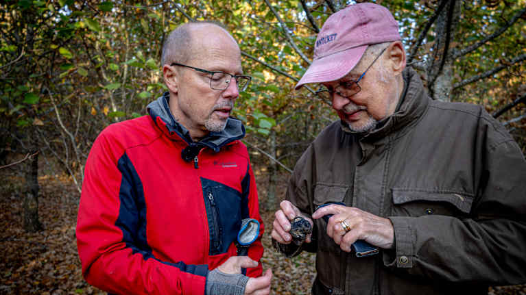 Martin och Lars Ingman odlar exklusiv tryffel i Finland – ”den doftar ...