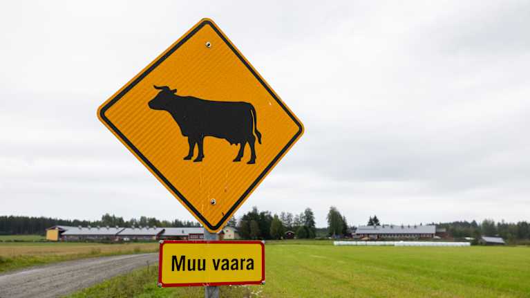 Kun helsinkiläinen syö rahkan, se ei näy hänen ilmastopäästöissään ...