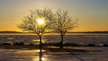 Gallery: Spring arrives in Finland | Yle News | Yle