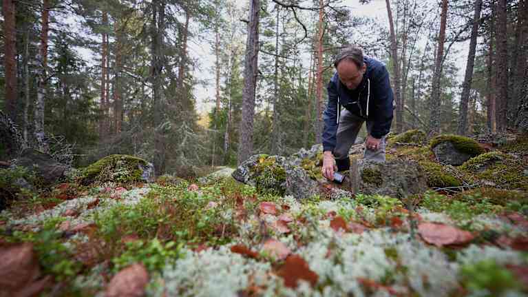 Geigermätaren ger utslag vid tidigare urangruva i östra Nyland – nu är ...