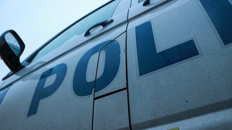 Poliisi varoittaa: Vihdissä voi liikkua loukkaantunut villisika ...