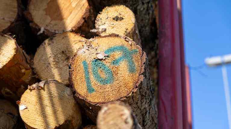 Transportföretagarnas förening i Borgå fyller 80 år – jippo ska locka ...