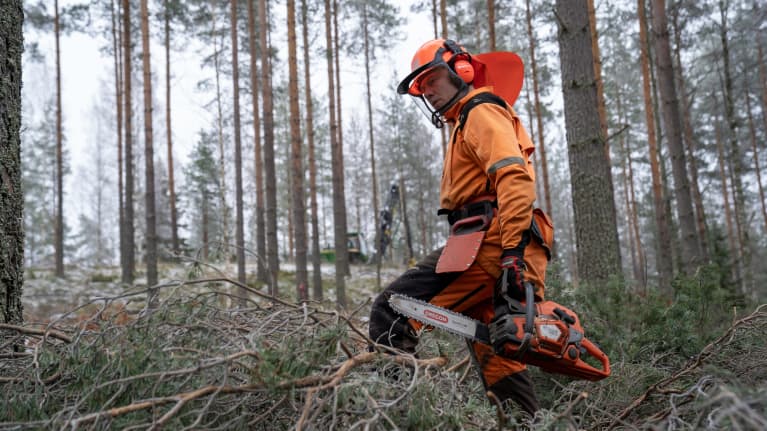 Näkeekö media metsän puilta? Tutkija selvitti metsäuutisointia ja yllättyi | Pohjois-Savo | Yle