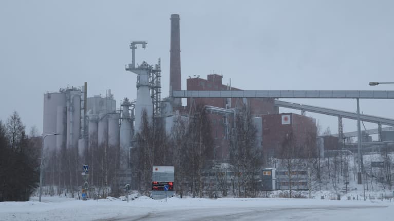 Tehdas lopetti ja yli 200 ihmistä menetti työnsä – Riina Mäki-Rajala ...