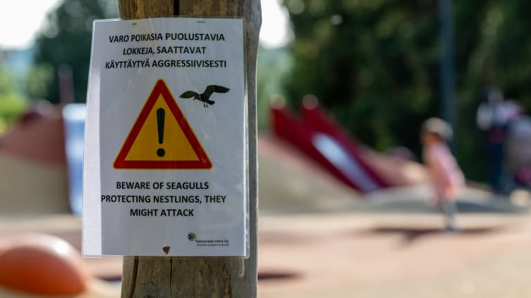 Leikkipuistoon tuotiin aggressiivisista lokeista varoittava kyltti ...