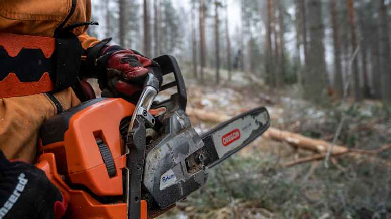 Tuore selvitys: Suomen metsiin tarvitaan lisää ulkomaista työvoimaa | Uutisia lyhyesti | Yle Uutiset