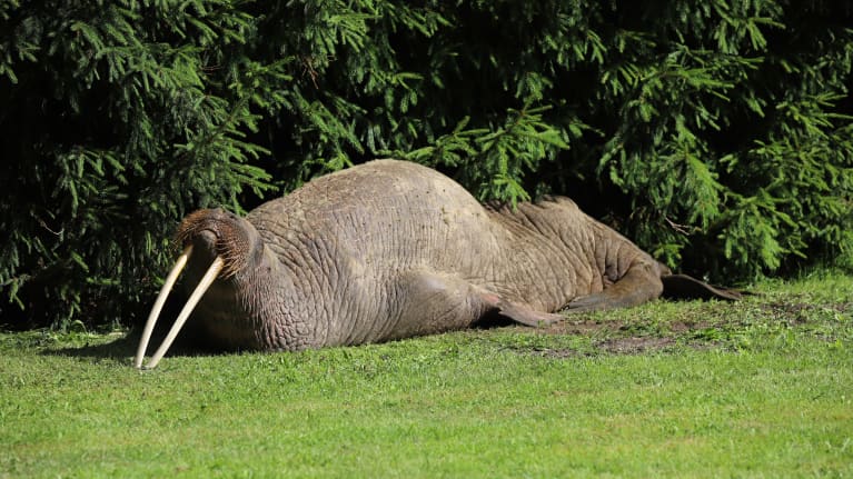 Kalastajan rysään takertui jotain, mitä sinne ei ikinä olisi pitänyt ...