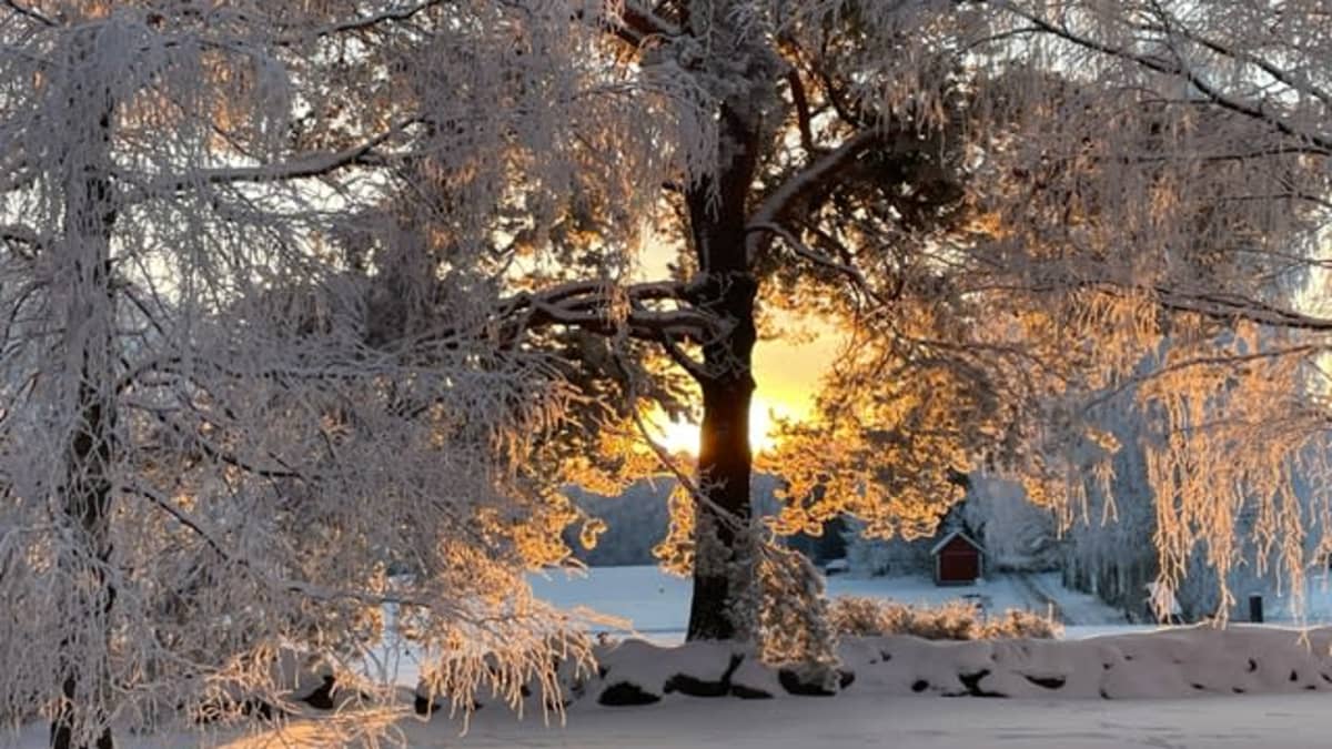 Finland set for cold conditions in beginning of new year | Yle News | Yle