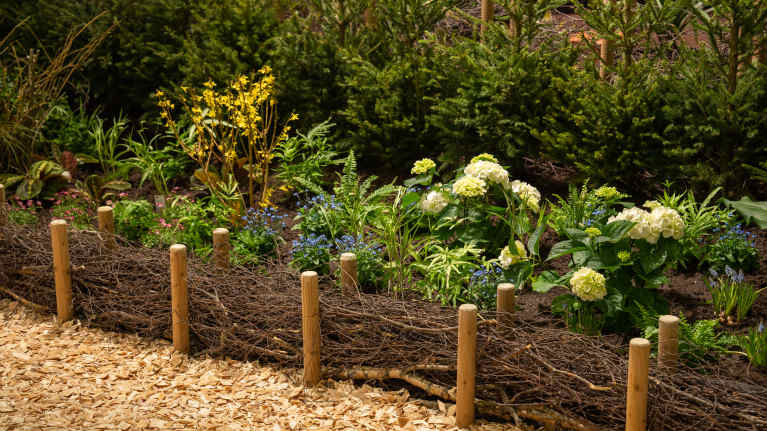 Karsitko keväällä pihapuita? Ota talteen vinkit, joilla teet oksilla ...