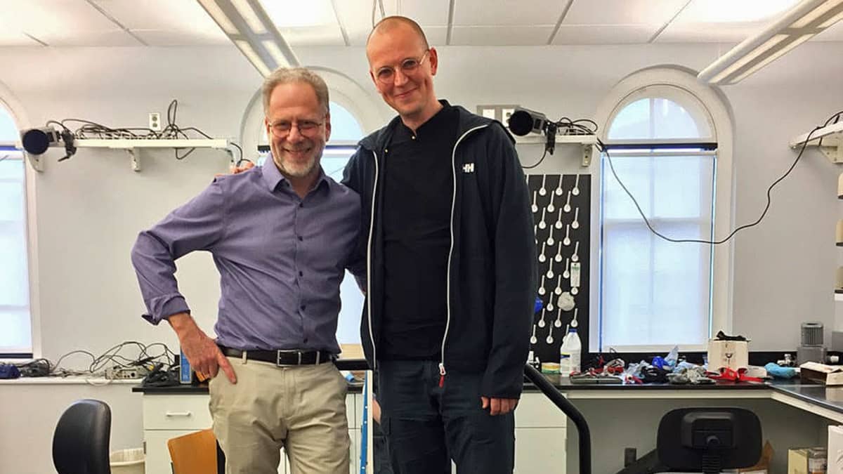 Tutkija: Ihmisten sarvet ja hännät kalliotaiteessa ovat kuvia todellisista tuntemuksista, jotka ...