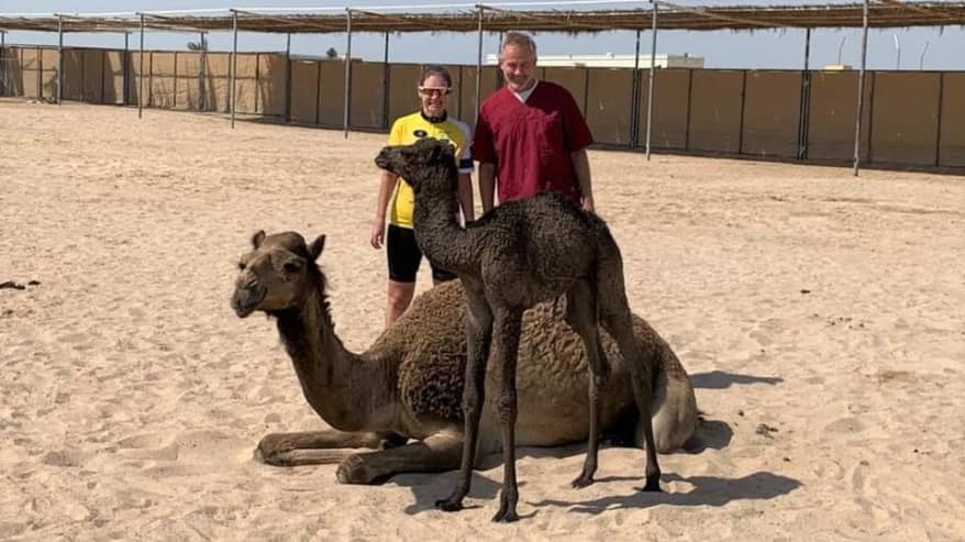 Eläinlääkäri Pentti Koivisto sai ilmaiseksi teuraaksi matkaavia ...