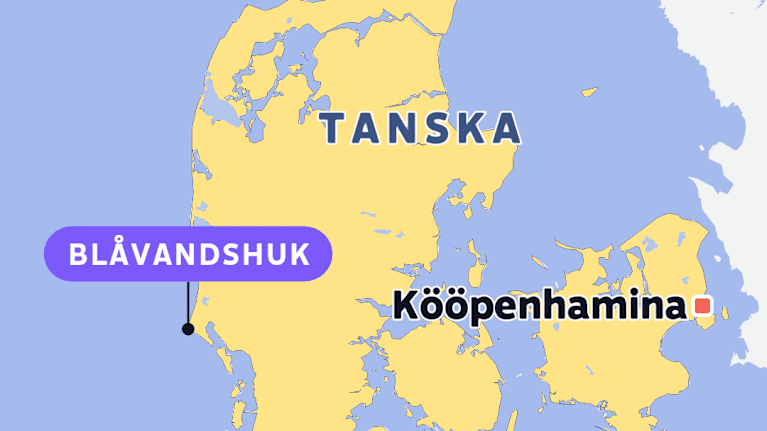 Erikoinen varkaus Tanskassa: rantautuneen kaskelotin leukaluu ...