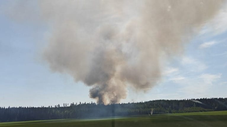 All it takes is one spark - high risk of forest fires throughout ...