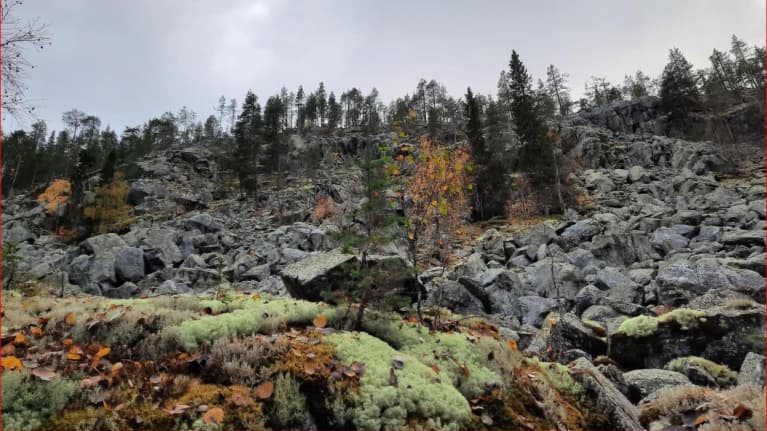 Puolankalainen rakkakivikko pääsi uuteen kallioesittelyyn – Kometon ...