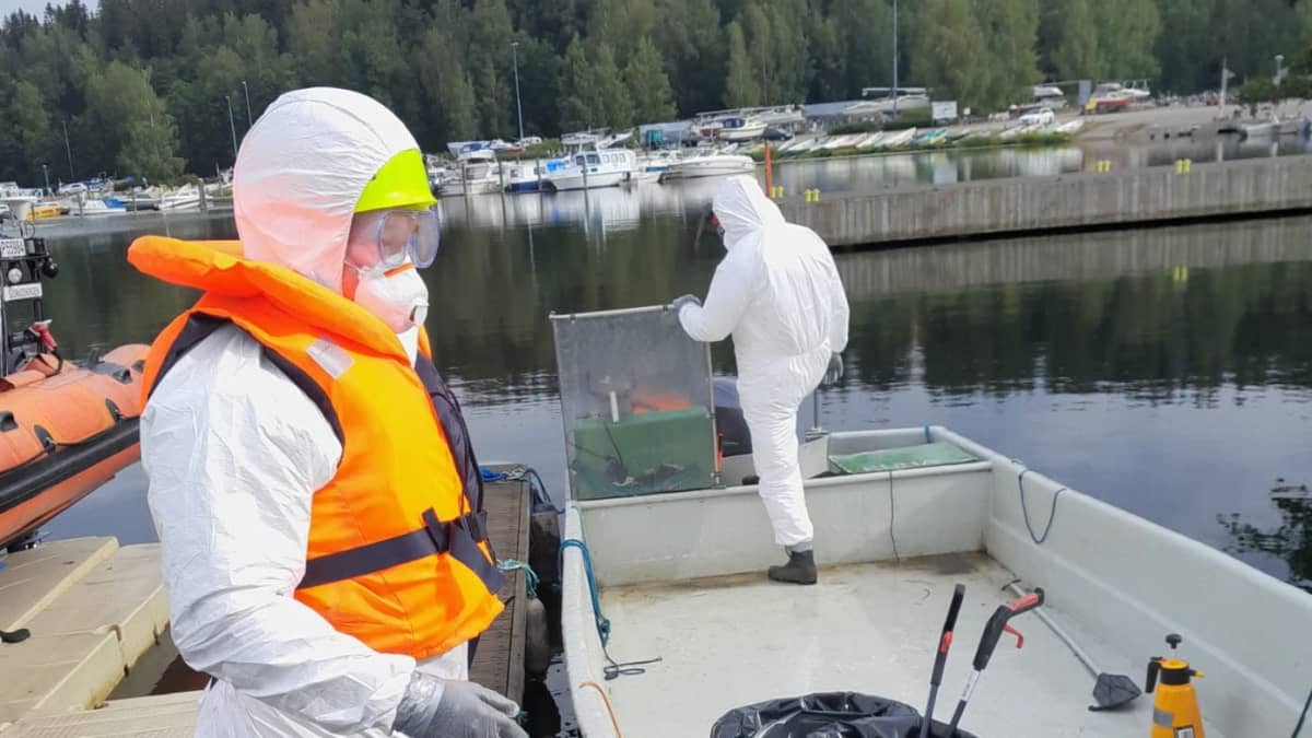 Suoja-asuiset "ghostbustersit" keräsivät satoja lokinraatoja ...