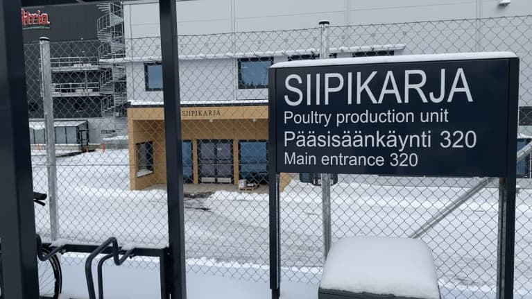 Atrian uusi siipikarjatehdas Nurmossa