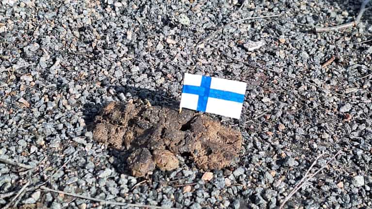 Mystinen koirankakka­liputtaja iski jälleen Jyväskylässä | Keski-Suomi ...