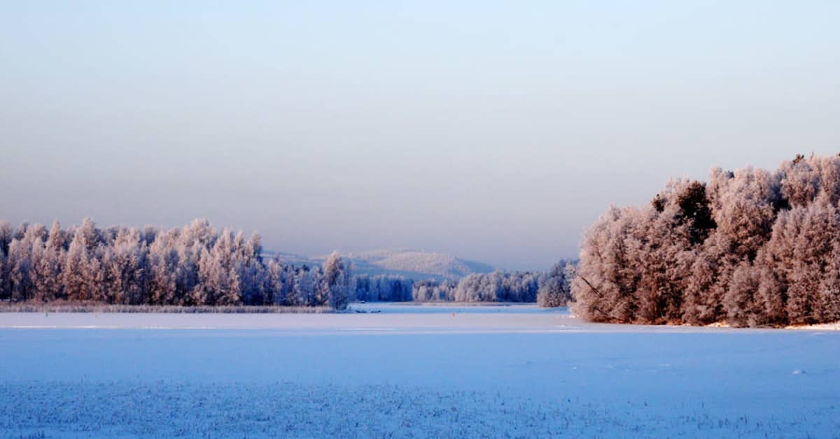 Severe cold chills Finland | Yle News | Yle
