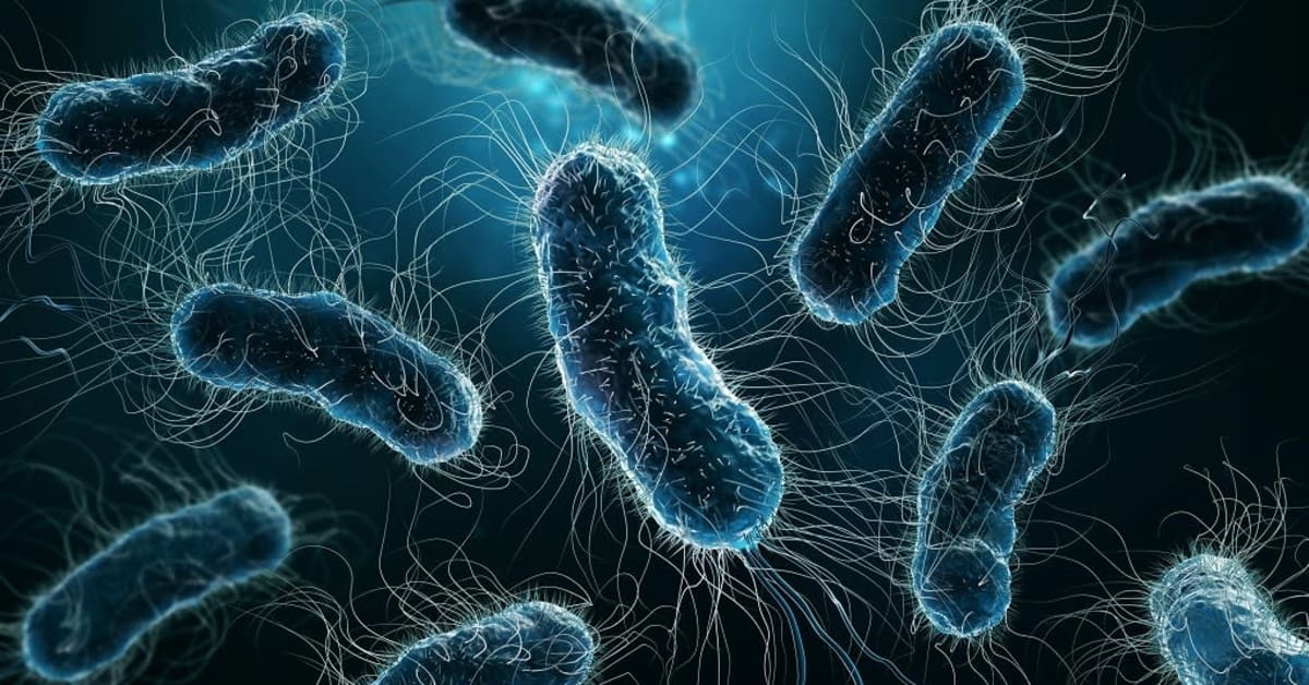 Mikrobi ällistytti tutkijat: sinunkin vatsassasi elävä bakteeri muistaa kokemansa ja välittää ...