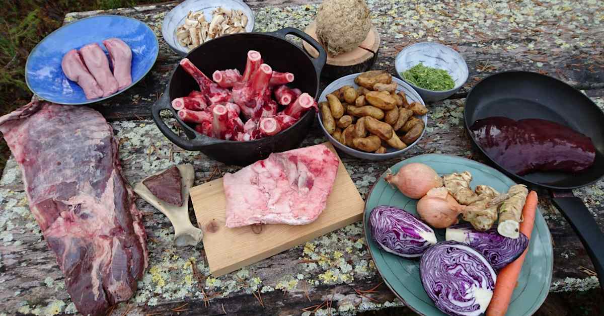 Peltsin Lappi: TOP 3 Lapin parhaat ruuat | Luonto | Yle