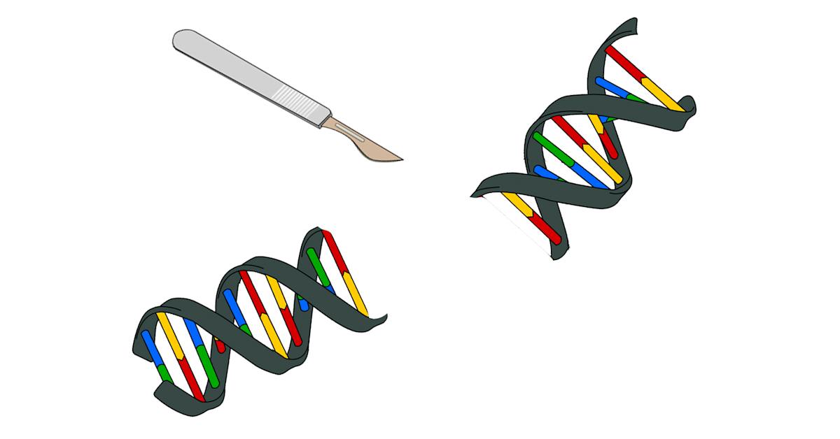 Skulle du modifiera dina gener för att förbättra ditt utseende? Det kan ...