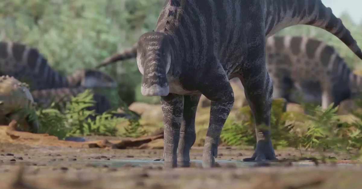 Fossilfynd i Chile överraskade forskare – så här tros den nyupptäckta ...