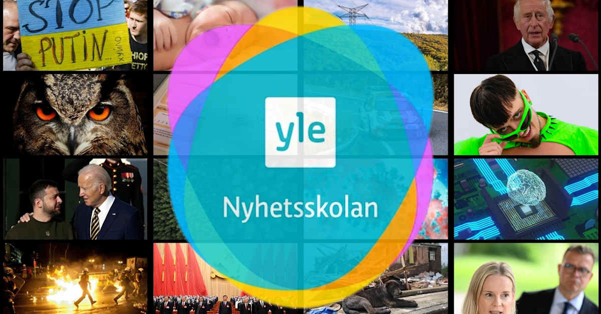 Nyhetsquizet: AI-bottar, ankor och oroligheter | Nyhetsskolan | Svenska Yle