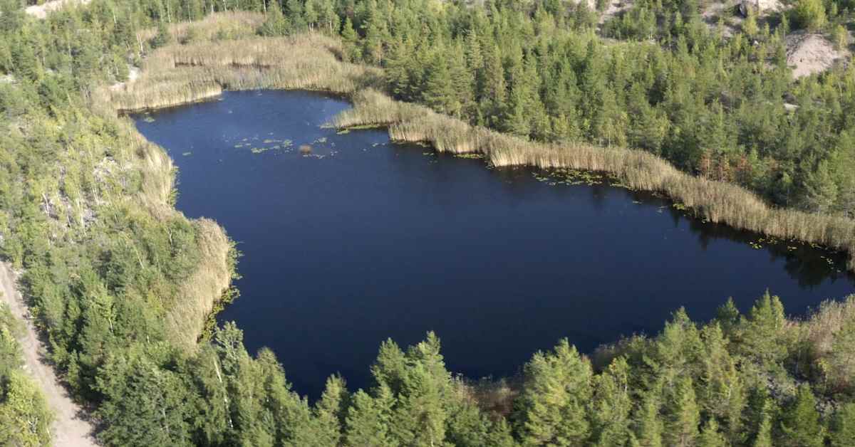 Både bybor och naturskyddsföreningar motsätter sig Rudus planer på att ...