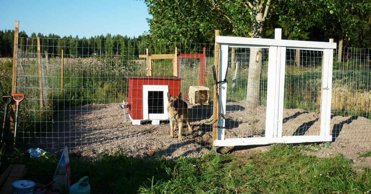 Hittedjurshemmet i Pockar fyller ett behov | Östnyland | Svenska Yle